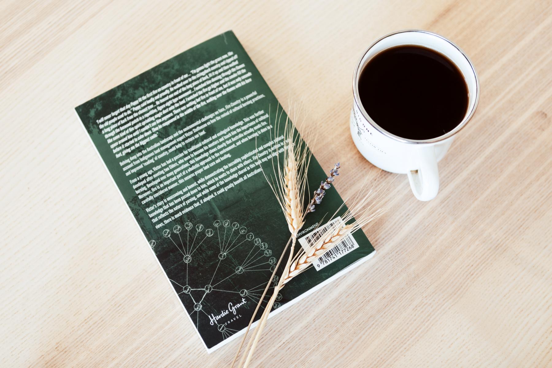 Book cover design for the groundbreaking book, Fire Country, written by ...