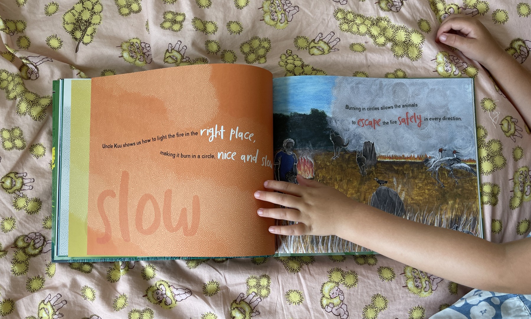 Book design and layout for Victor Steffensen's childrens book Looking ...