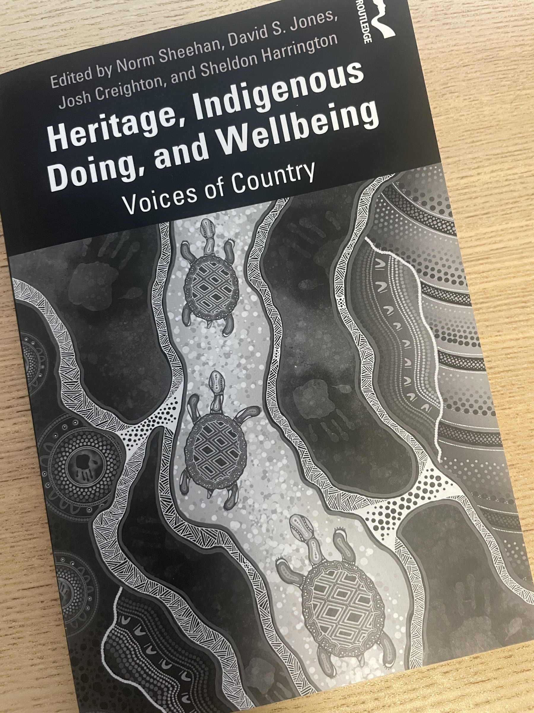 Visual Pattern Thinking through Indigenous Respectful Design Systems ...